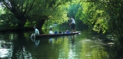 Scudamore's Boat Hire Cambridge - River Cam and River Granta
